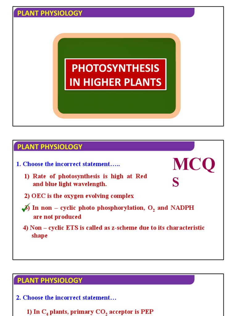 Biology - XI - Photosynthesis in Higher Plants - MCQs 3 | PDF
