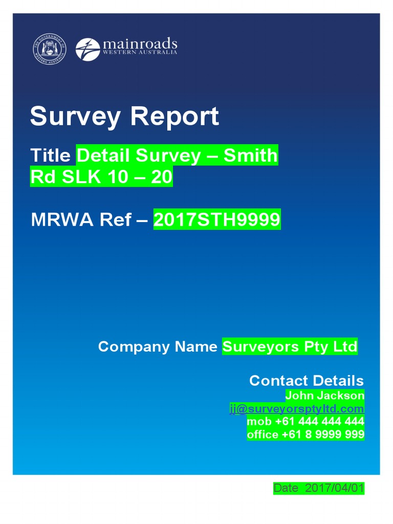 Survey Report Template | PDF