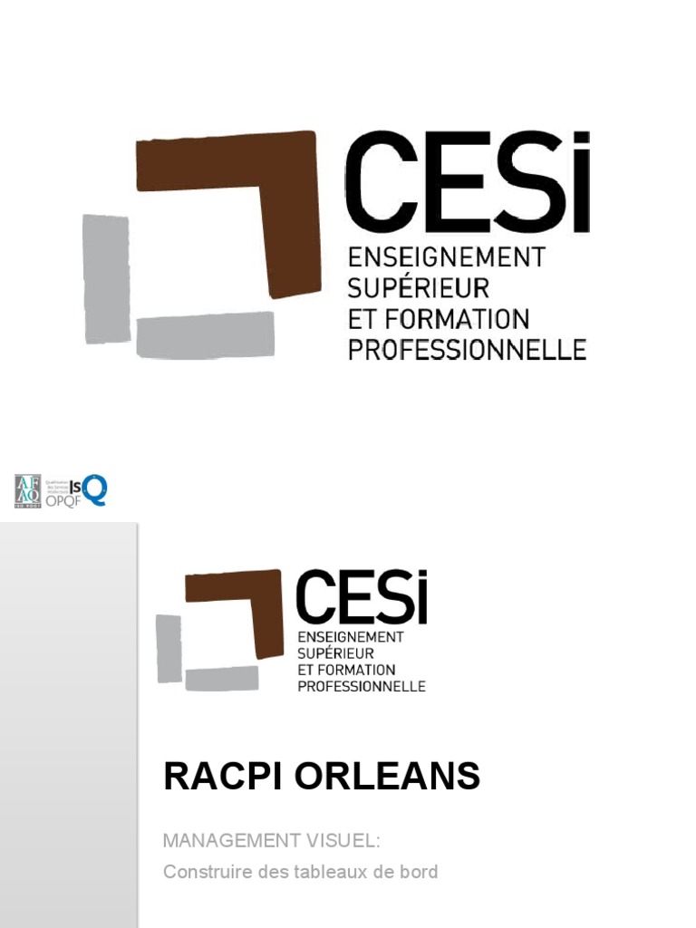 RPI Indicateurs Et Management Visuel | PDF