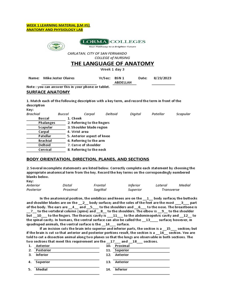 WEEK 1 LM5 Worksheet On Language of Anatomy | PDF