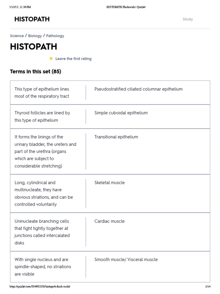 HISTOPATH Flashcards - Quizlet | PDF