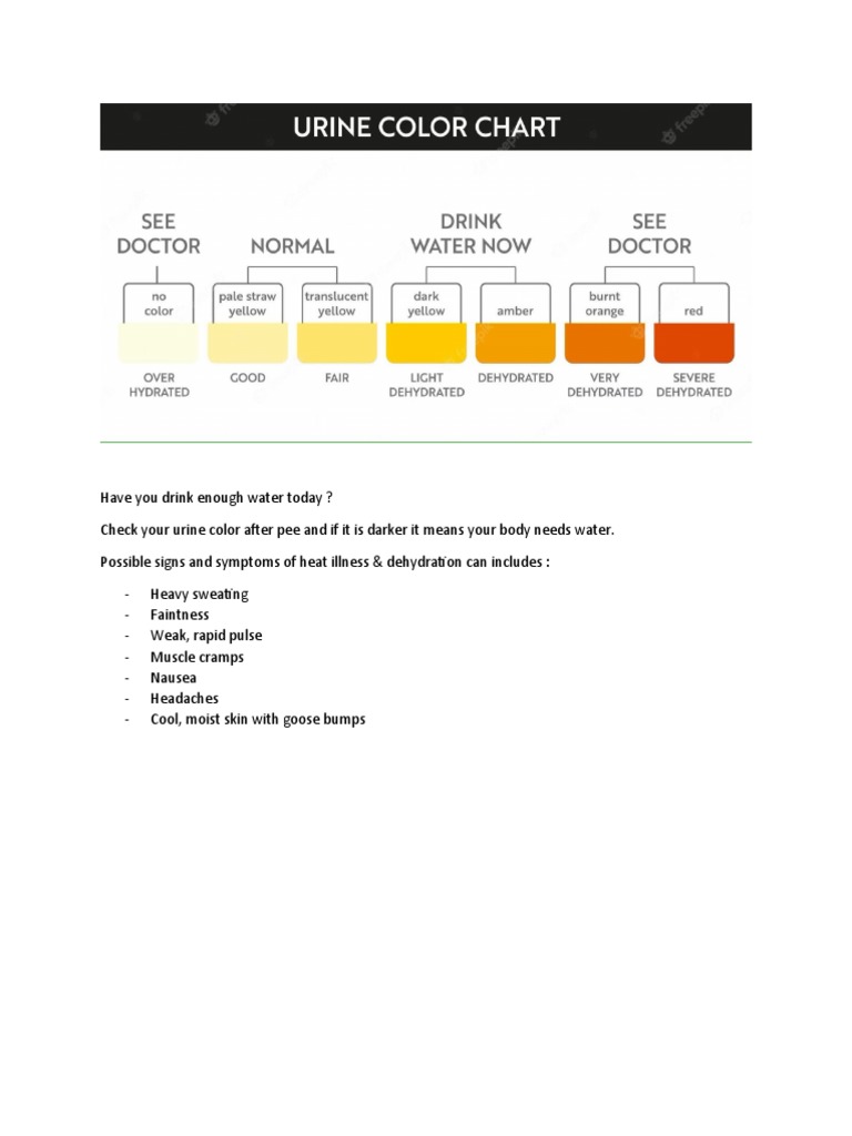 Urine Color Chart | PDF