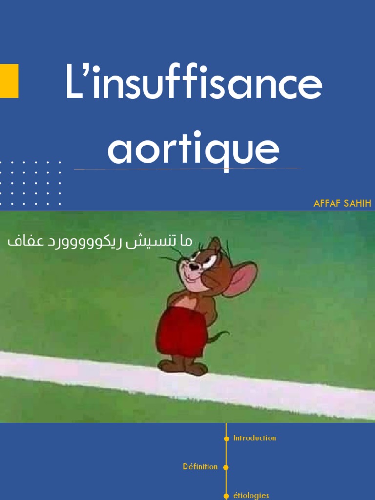 Insuffisance Aortique | PDF