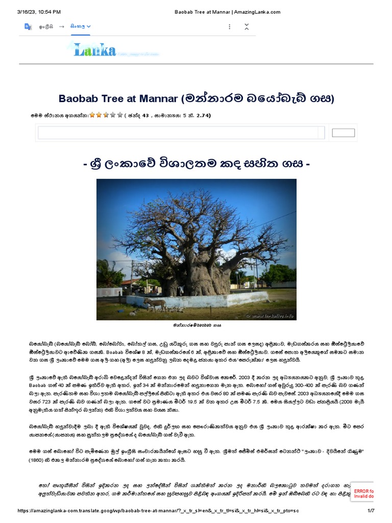 Baobab Tree at Mannar | PDF