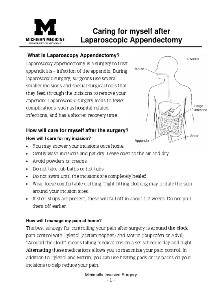 Lap Appendectomy | PDF