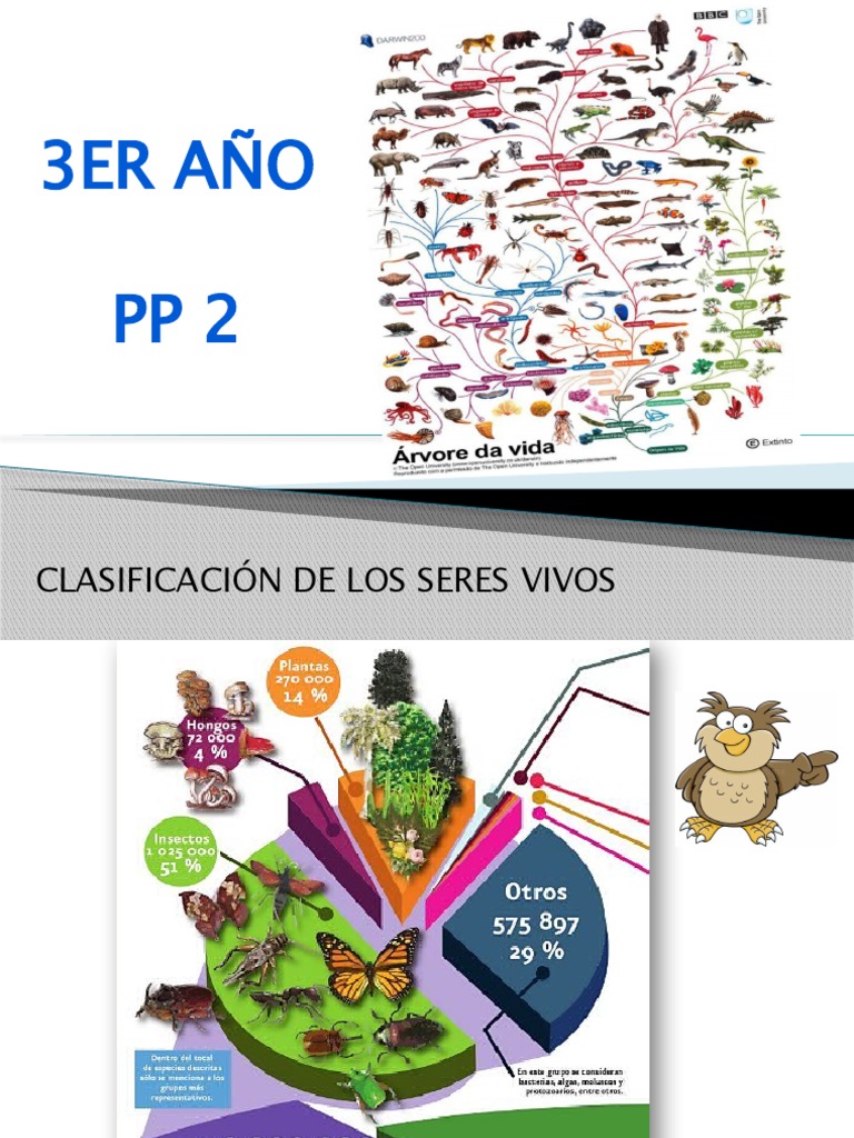PP2 Clasificación de Los Seres Vivos | PDF
