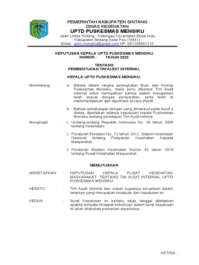 Pembentukan Tim Audit Internal Puskesmas | PDF