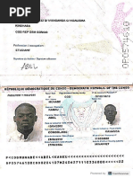 Passport | PDF