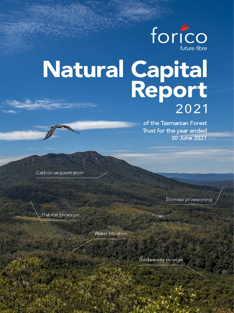 FORICO Natural Capital Report 2021 | PDF | Sustainability | Natural ...