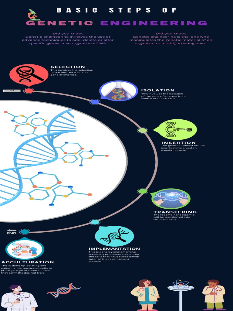 Basic Steps in Genetic Engineering | PDF | Genetic Engineering | Plasmid