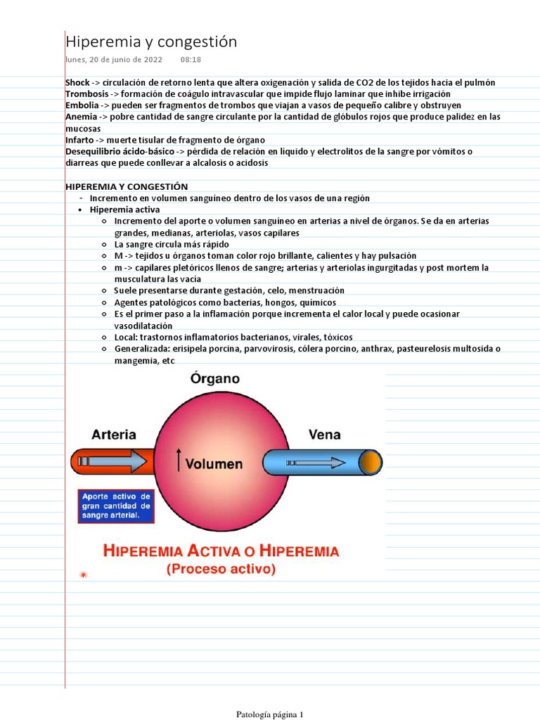 Hiperemia y Congestión | Descargar gratis PDF | Edema | Corazón