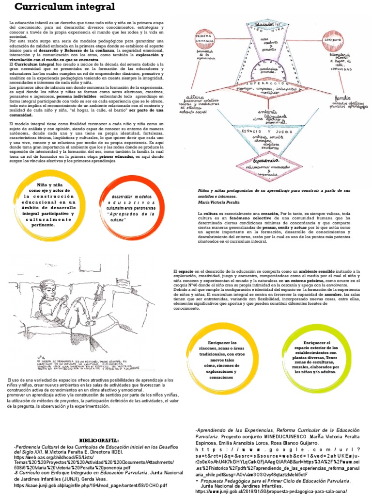 Curriculum Integral | PDF