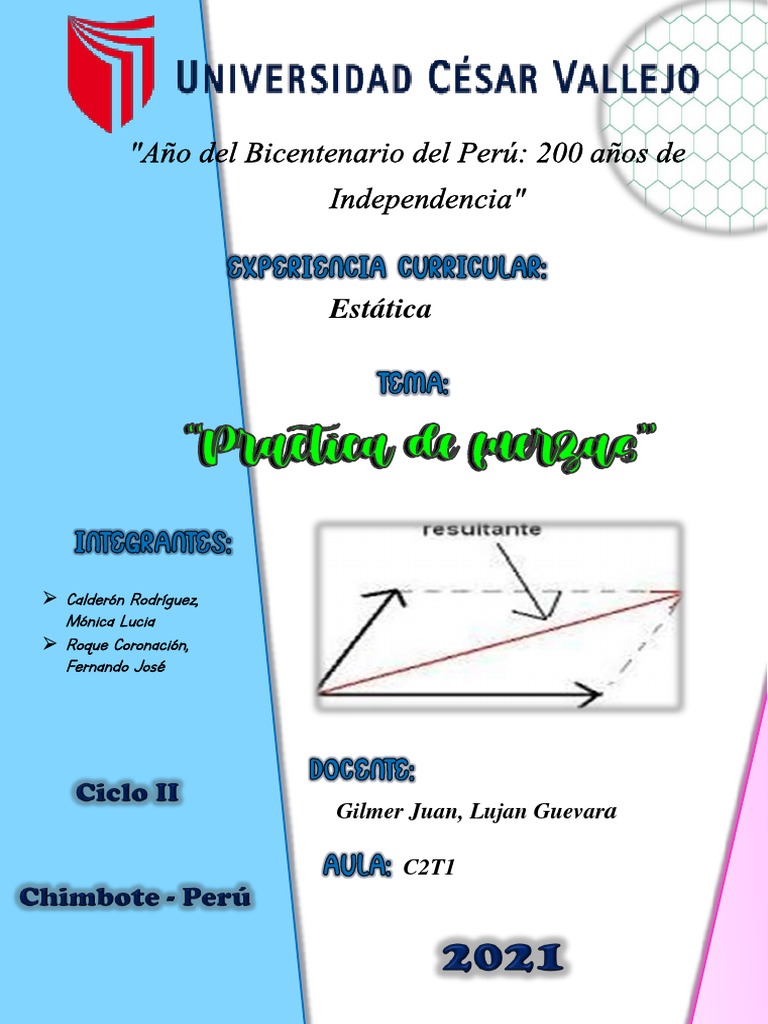 Practica de Fuerza | PDF | Vector Euclidiano | Movimiento (física)