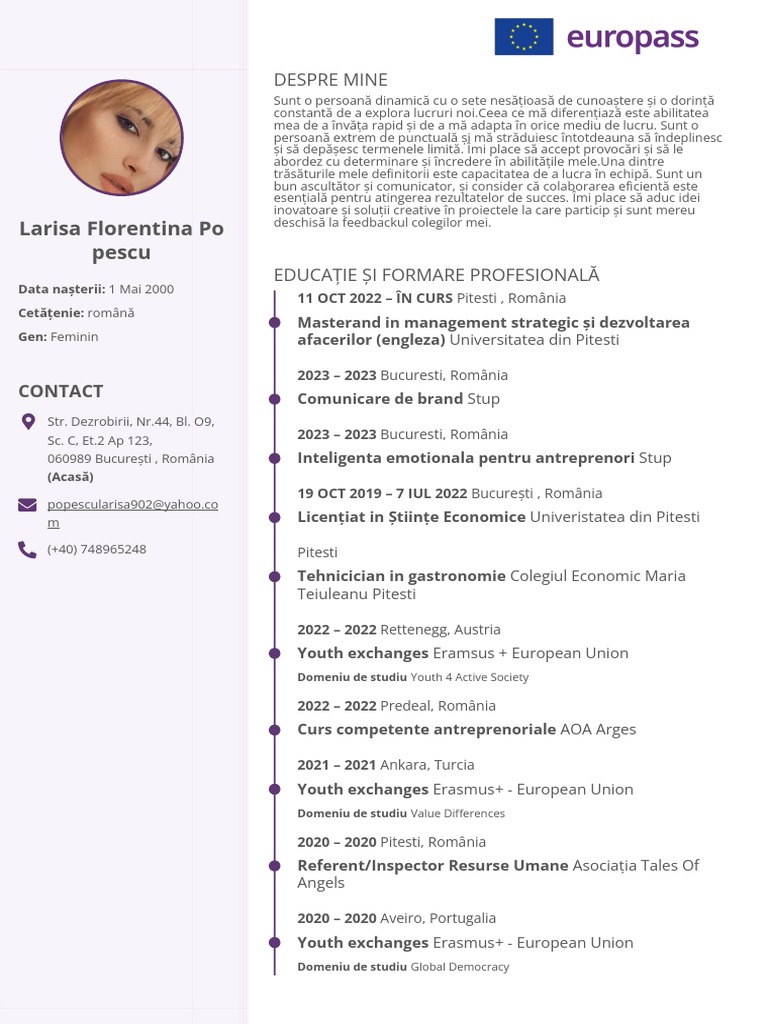 CV - Larisa Florentina Popescu-2 | PDF