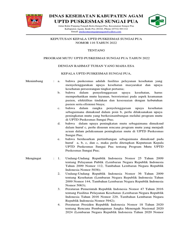 Program Mutu Puskesmas Sungai Pua 2022 | PDF