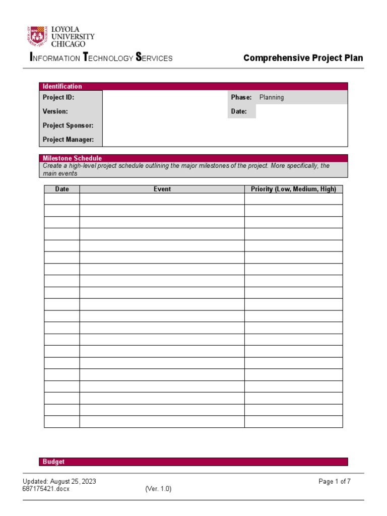 Comprehensive Project | PDF | Project Management | Business