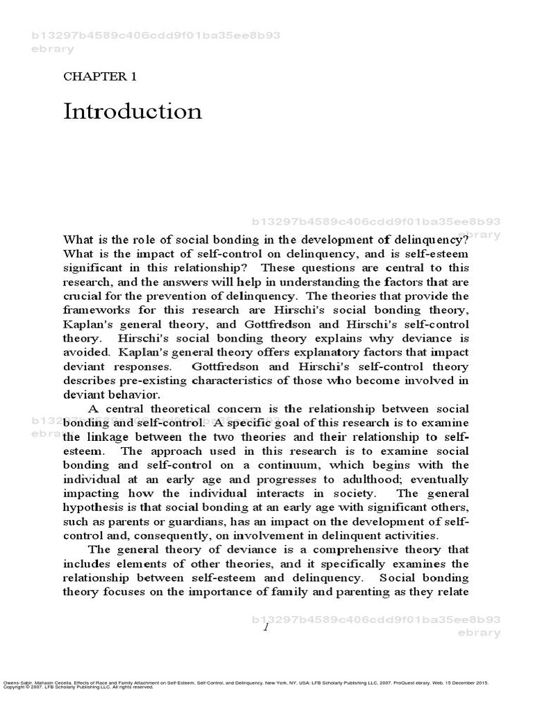 Effects of Race and Family Attachment On Self Esteem Self Control and ...