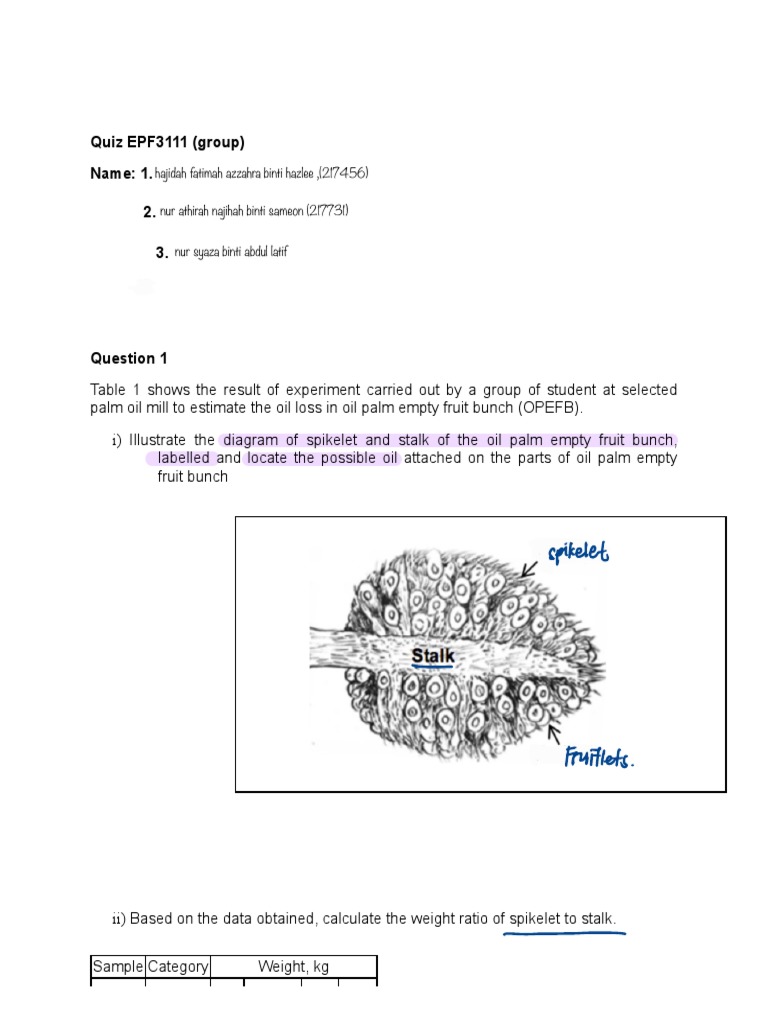 Quiz 10:5 EPF 3111 | PDF