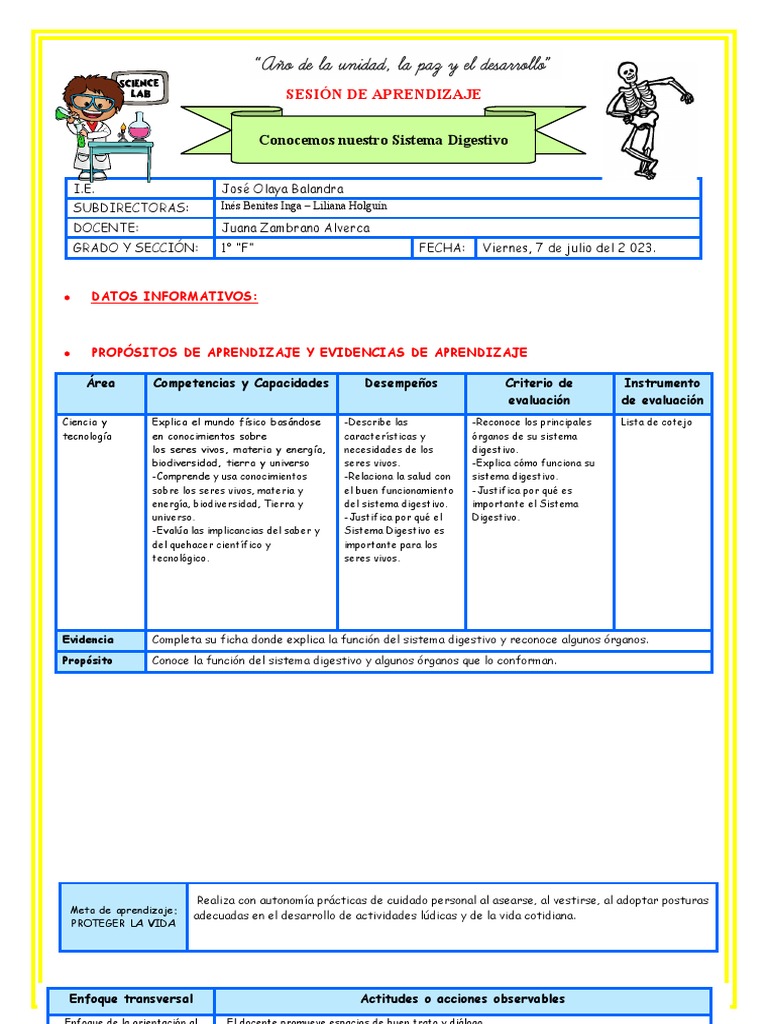 Viernes 7 de Julio - CONOCEMOS EL SISTEMA DIGESTIVO | PDF | Esófago ...