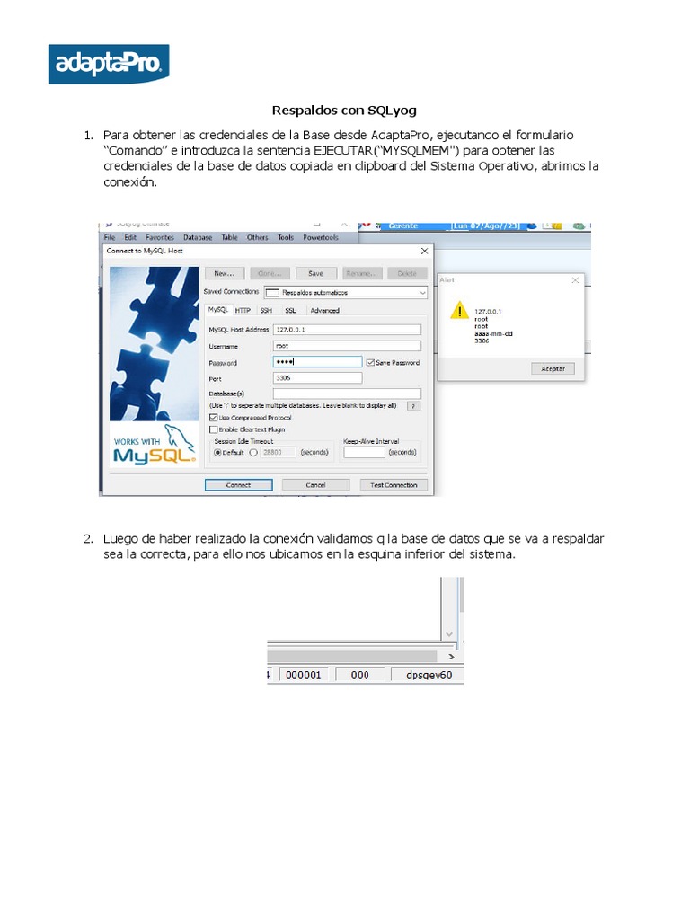Respaldos Con SQLyog | PDF | Tecnología