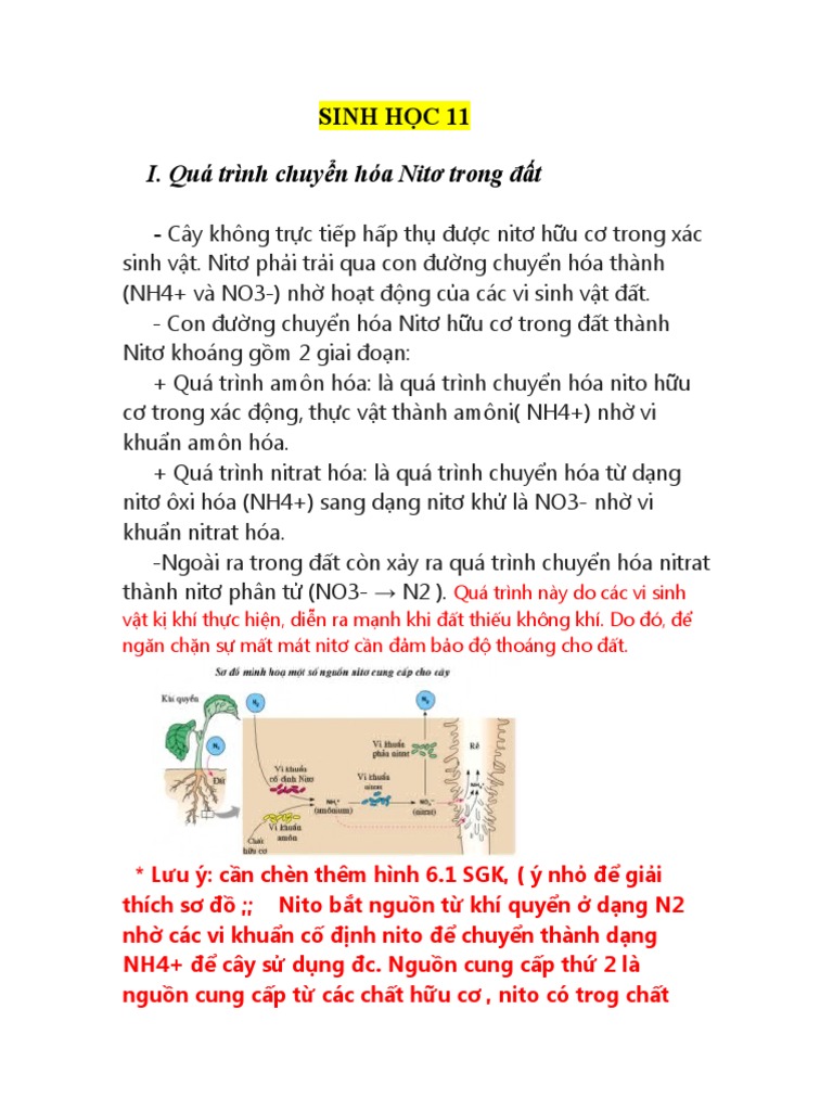 SINH HỌC 11 1 bttt | PDF