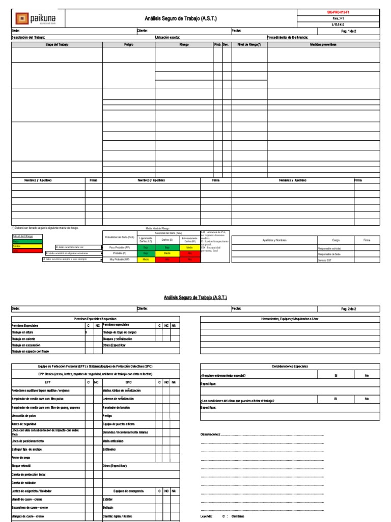 Formato AST Rev 01 | PDF
