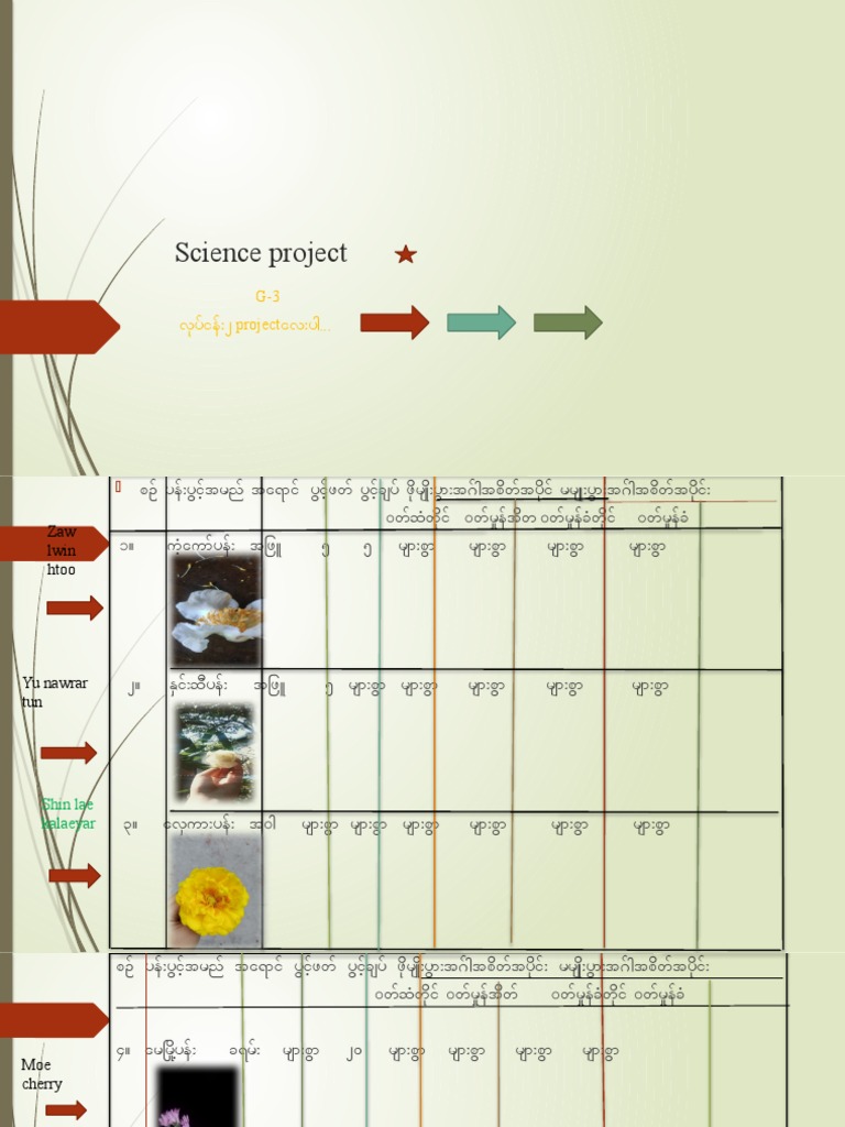 Science Project (Autosaved) (Autosaved) (Autosaved) | PDF