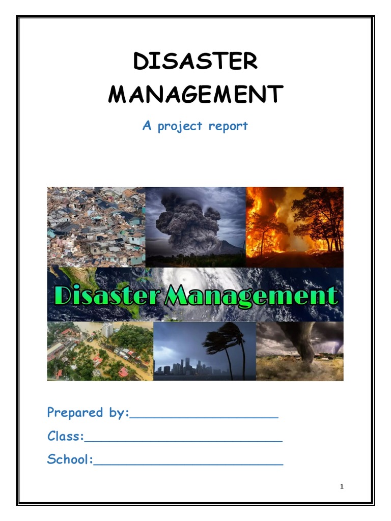 Disaster Management | PDF