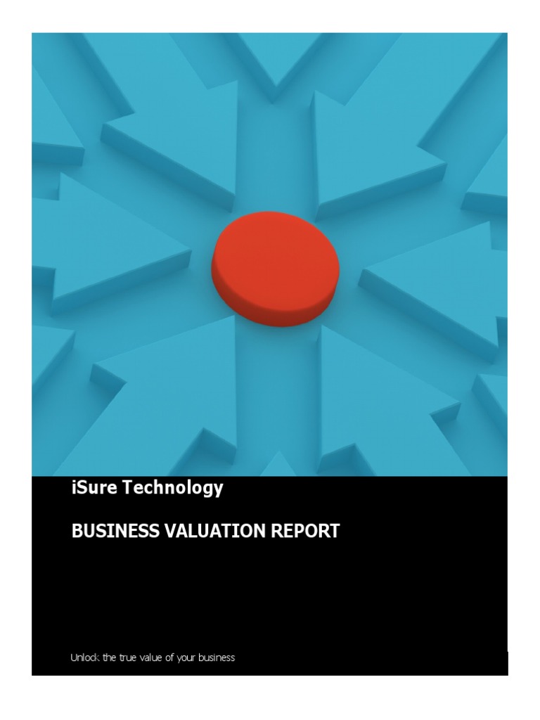 Business Valuation Report | PDF | Valuation (Finance) | Business Valuation