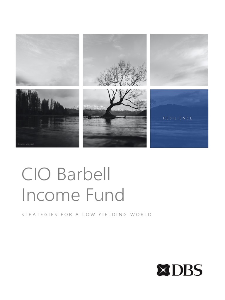 Barbell Income Fund Brochure | PDF