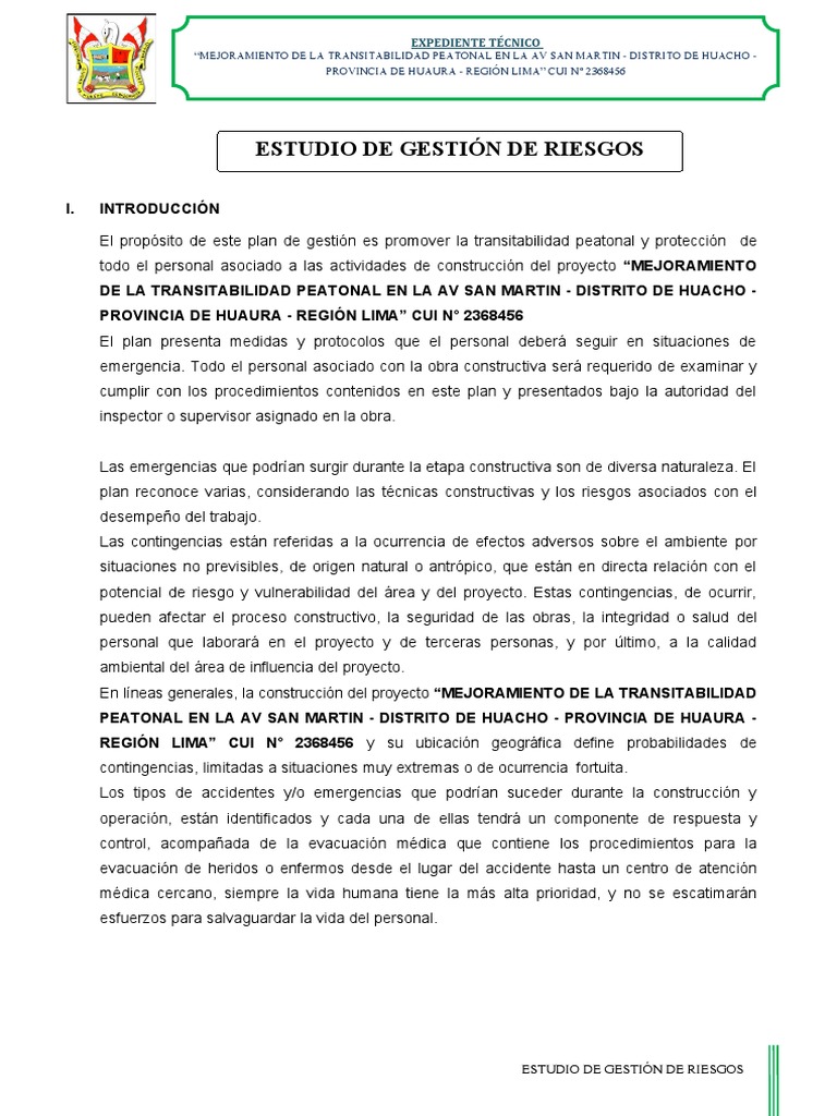 Informe de Riesgos | Descargar gratis PDF | Riesgo | Evaluación de riesgos