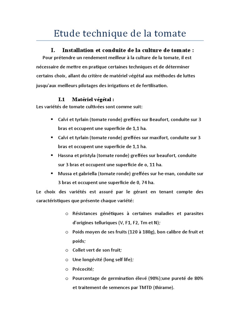 Etude Technique de La Tomate | PDF