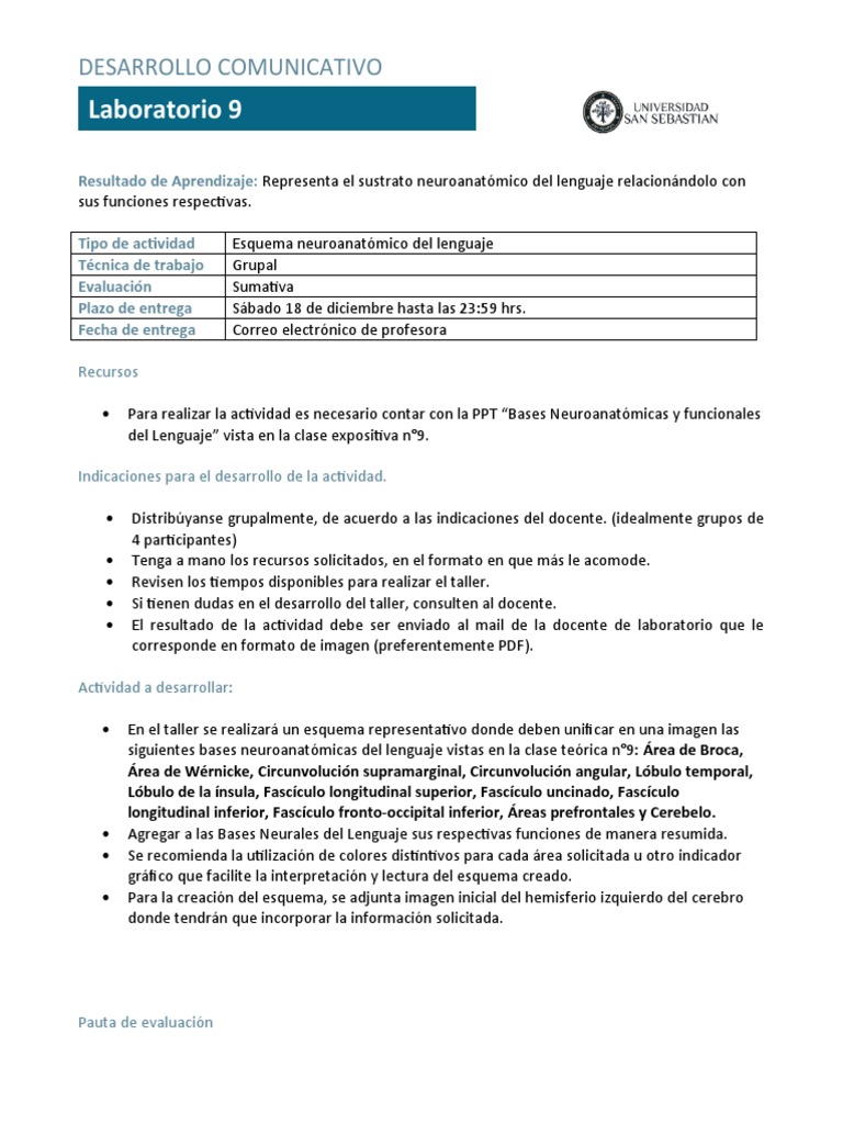 Esquema Neuroanatómico Del Lenguaje | PDF | Lóbulo temporal | Cerebelo