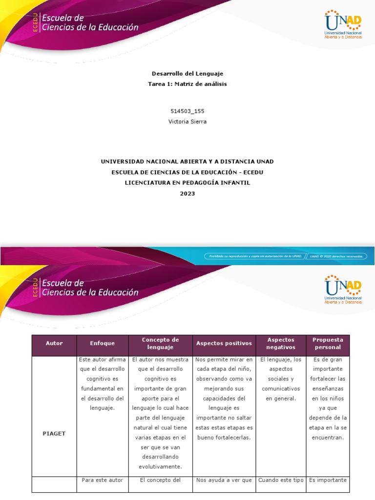 Anexo 1 - Matriz de Análisis | PDF | Aquisición de idioma | Enseñando