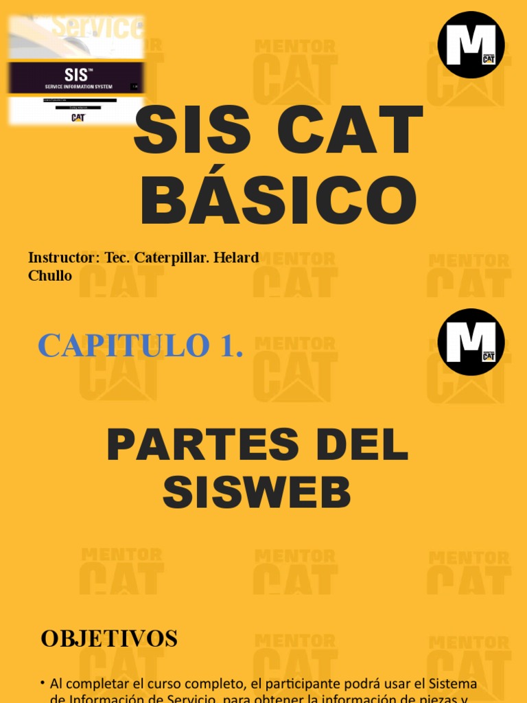 Curso Sis Cat Básico | PDF | Informática