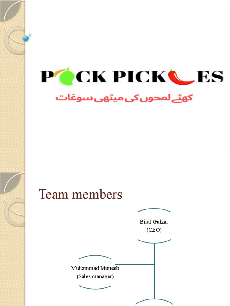 Pick Pickles: Marketing Strategy Overview | PDF
