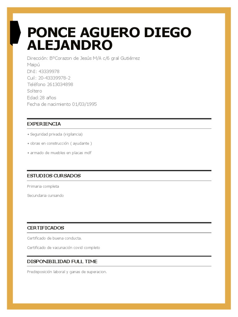 Currículum Diego | PDF