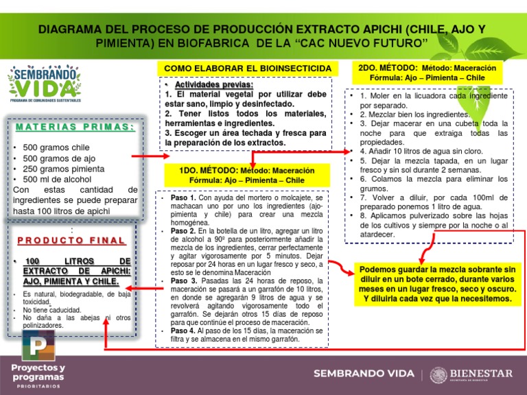 Procedimiento de Apichi - Ajo, Chile y Pimienta. | PDF