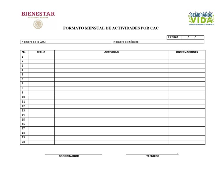 Formato Mensual de Actividades Por Cac | PDF