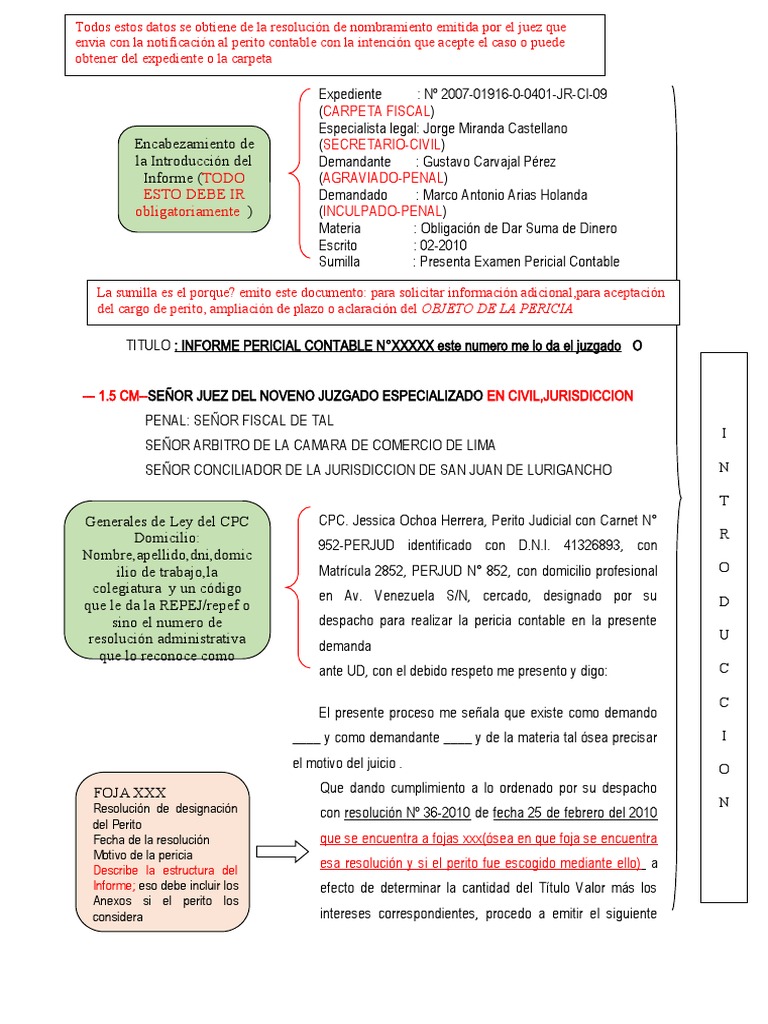 Informe Pericial Contable: Obligación de Pago | PDF | Pagaré | Interés