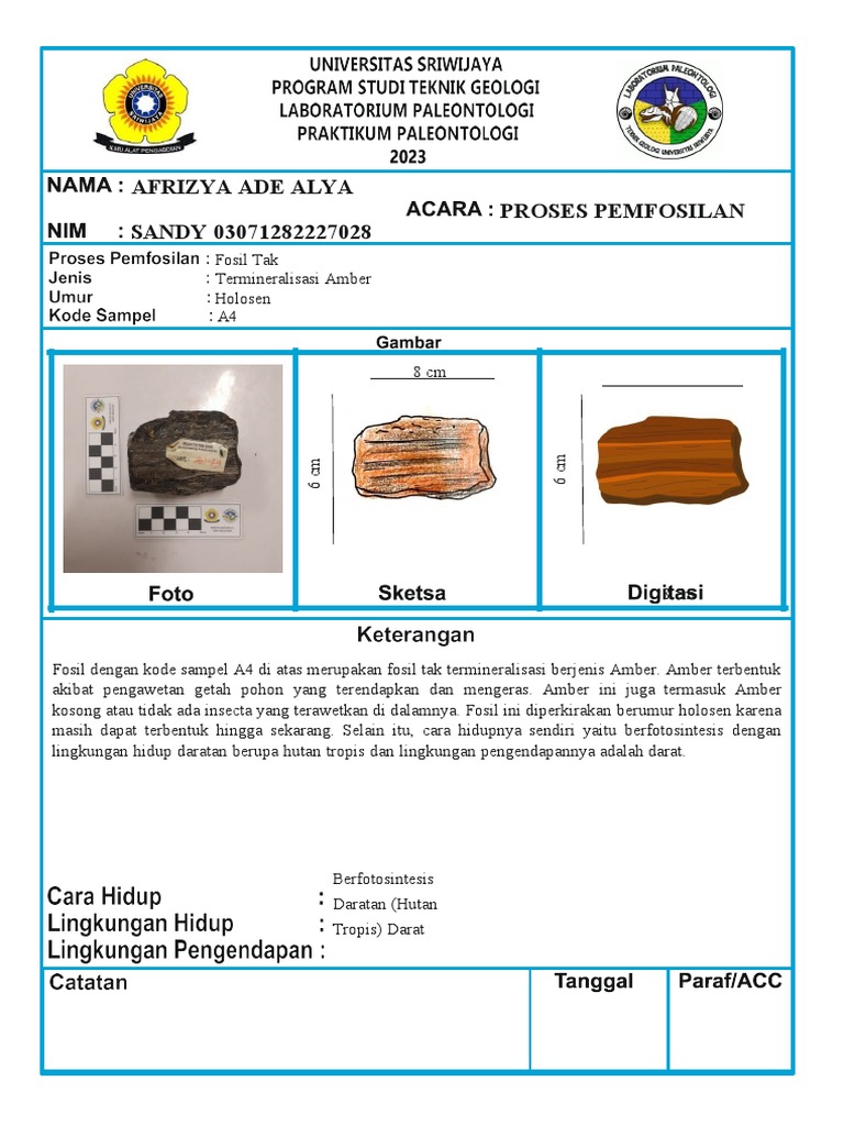 Deskrip Amber Alya | PDF