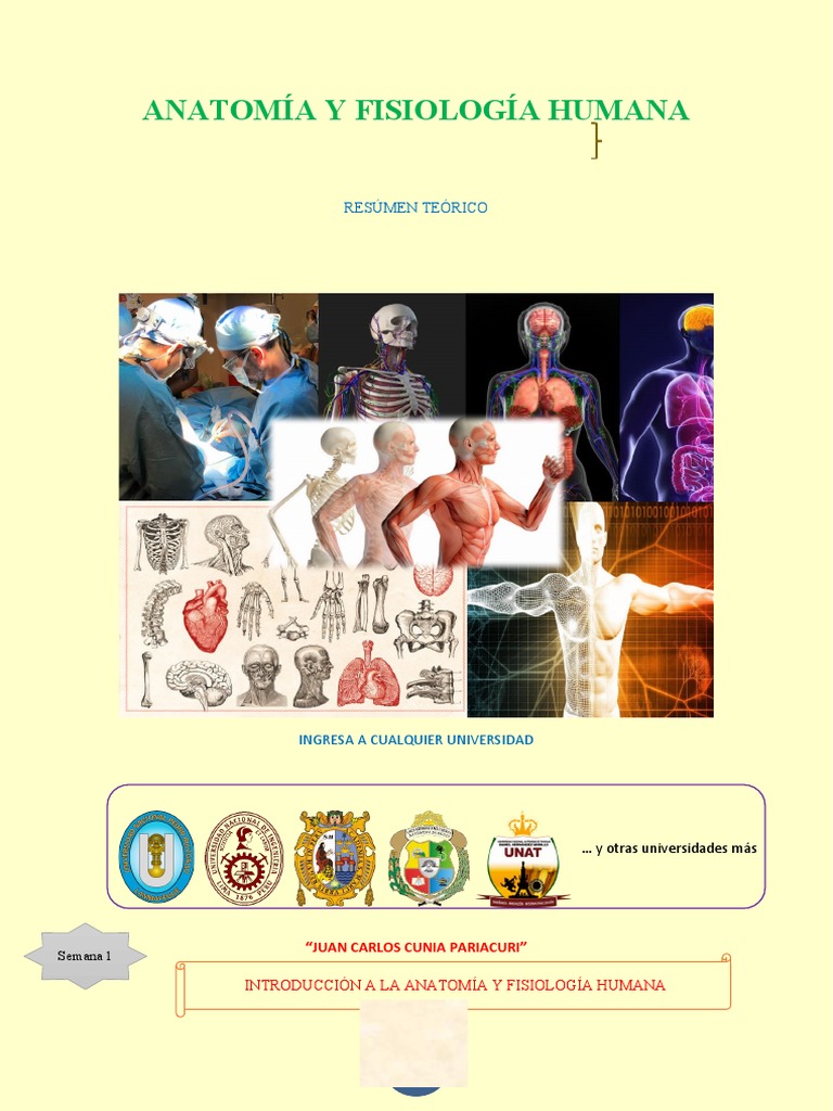 Anatomía Libro Pdf