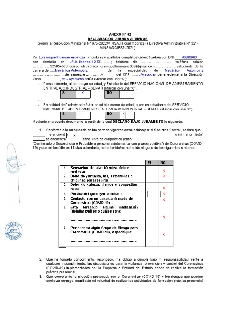 Anexo 02 - Declaración Jurada | PDF