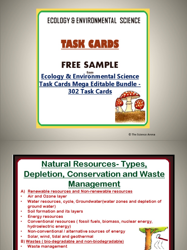 Task Cards: Free Sample | PDF