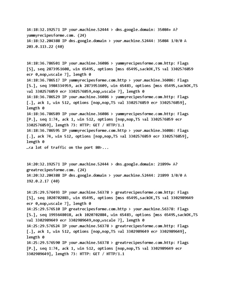 DNS HTTP Traffic Log | PDF