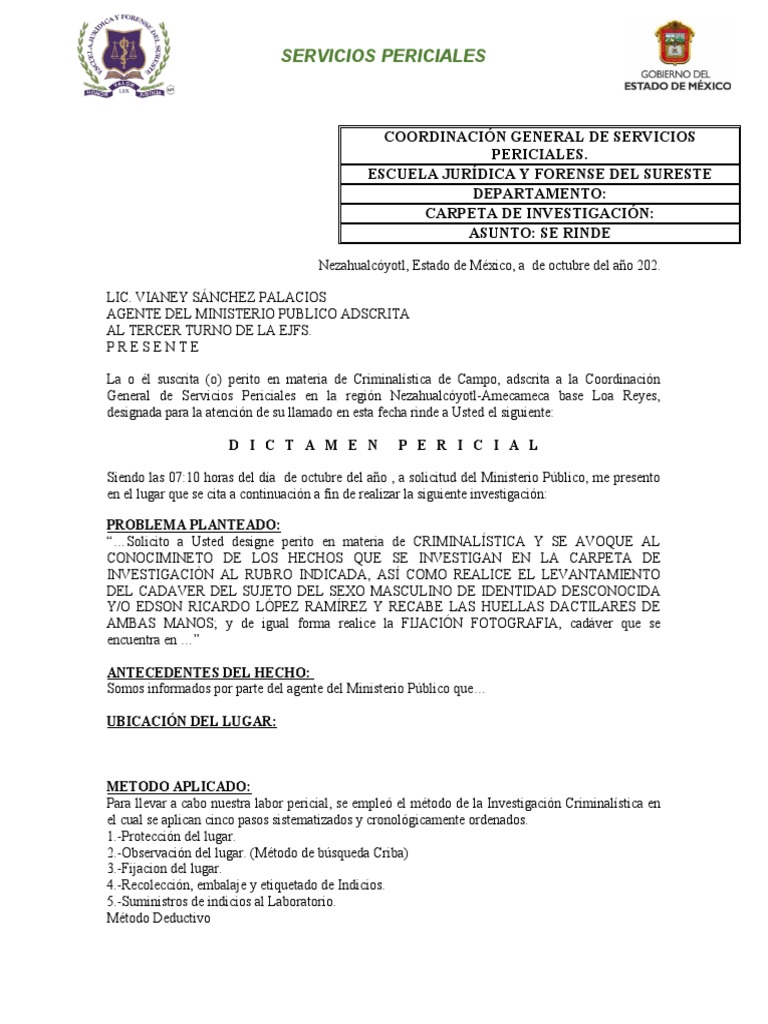 Dictamen Ejemplo - Criminalística de Campo | PDF
