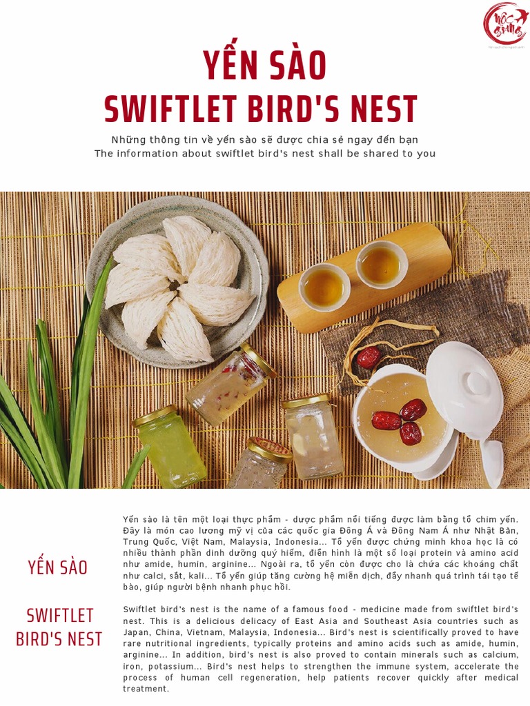 Swiftlet Bird's Nest | PDF