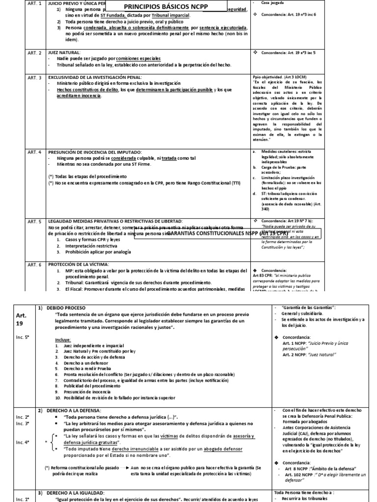 Principios Basicos NSPP | PDF | Debido al proceso | Derecho Constitucional