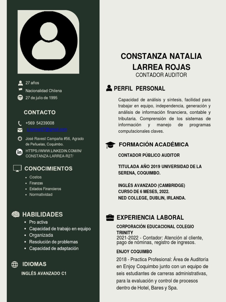 CV Constanza Larrea 2023 | PDF