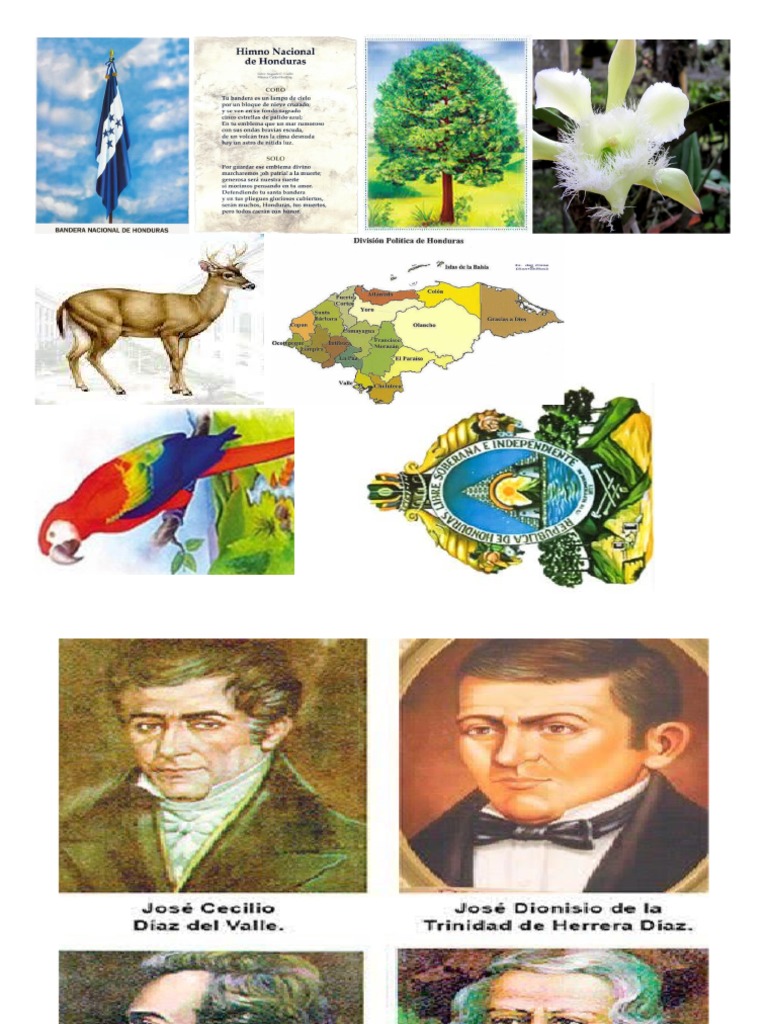 Simbolos de Honduras | PDF